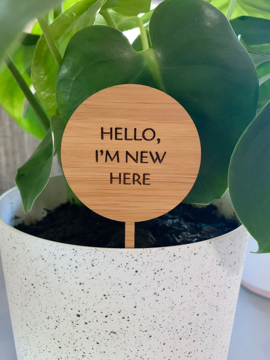 PLANT MILESTONE DISCS – Butterfly Kisses Wall Art & Decor